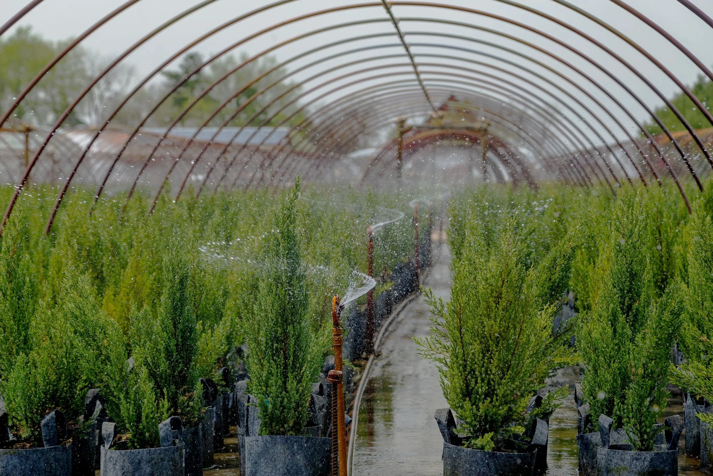 Root Pouch Products — Root Pouch