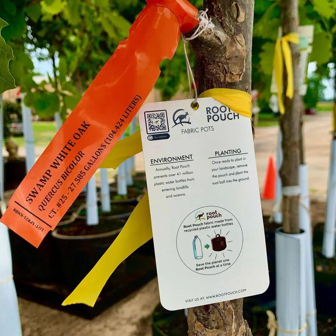 Container Growing — Root Pouch