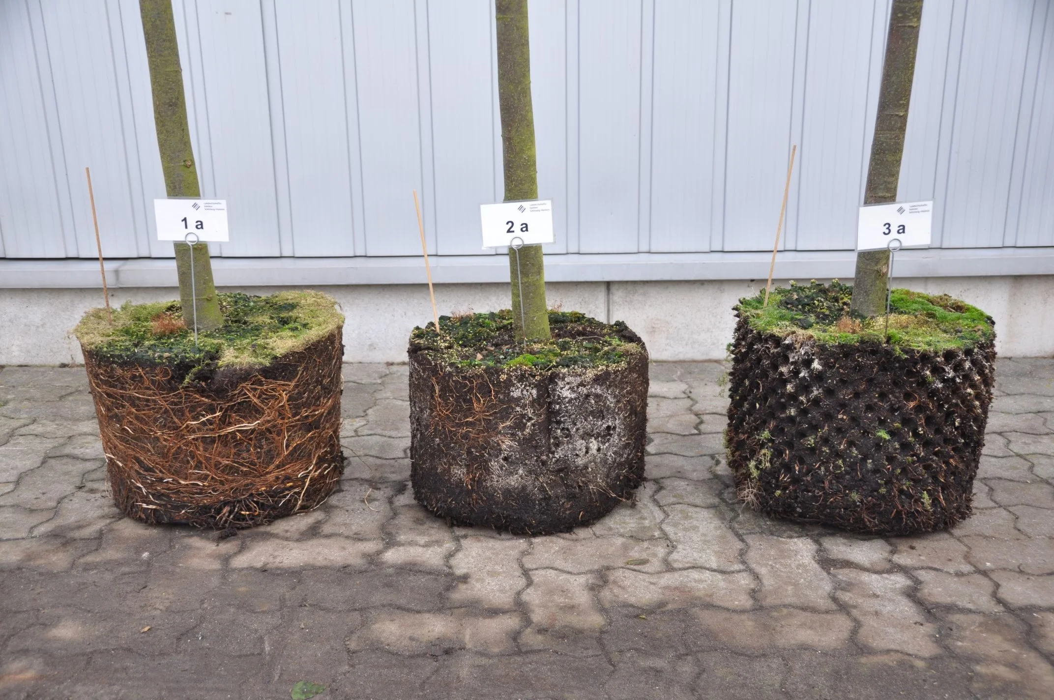 Pot-in-Pot Growing — Root Pouch