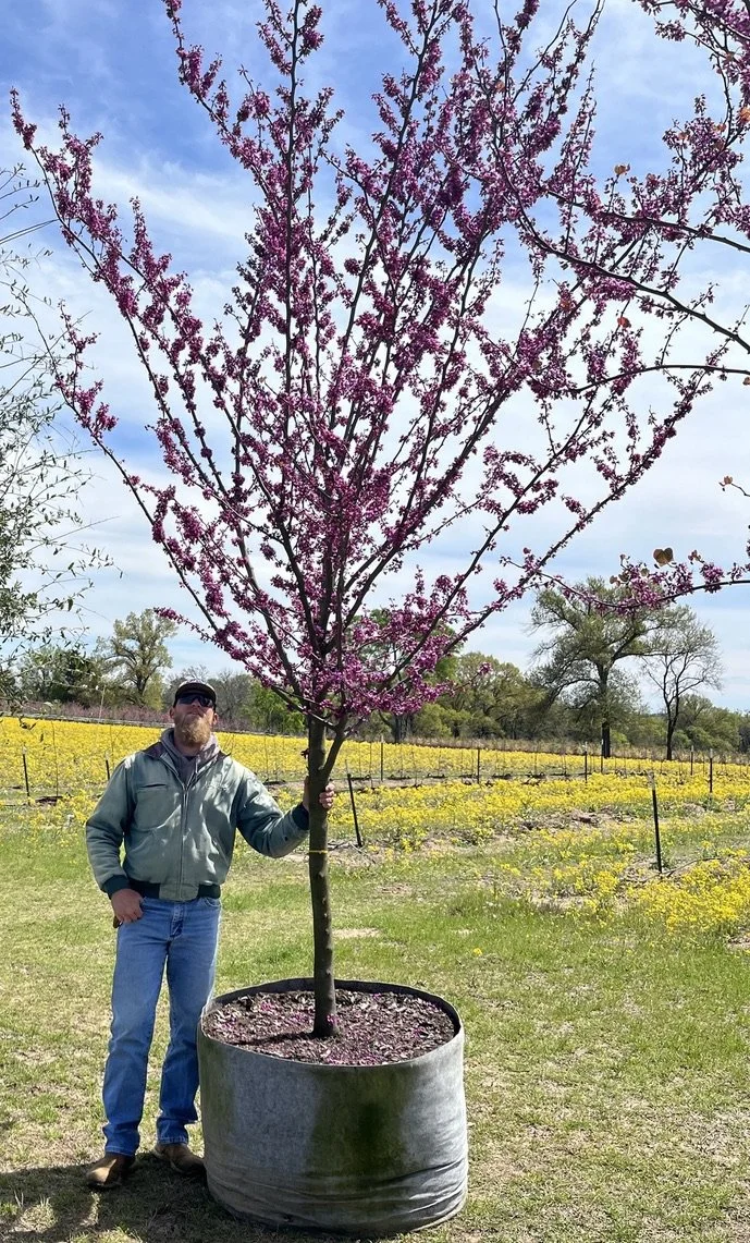 Root Pouch Commercial Grey — Root Pouch