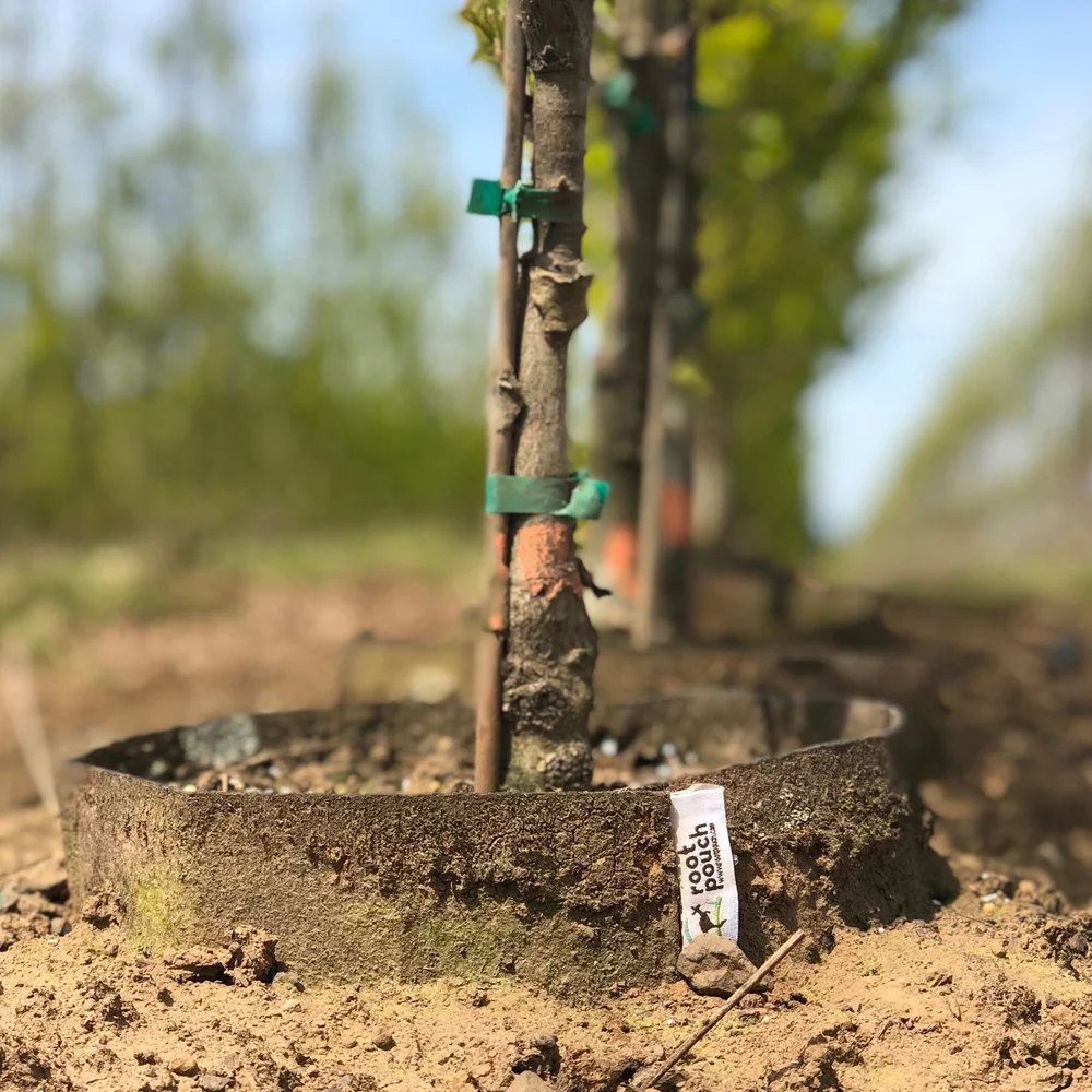 Root Pouch Grey Fabric — Root Pouch