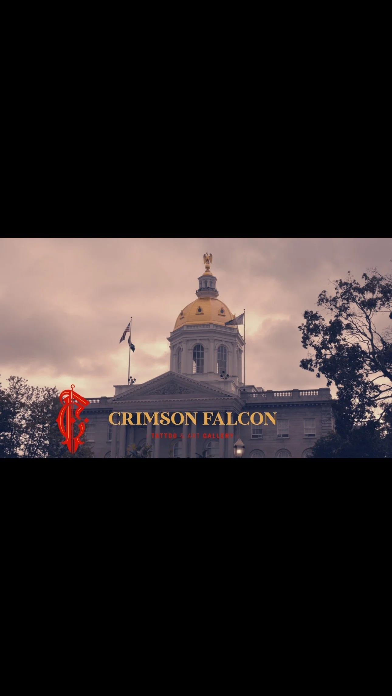 Crimson Falcon