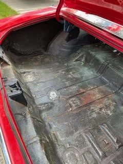 Rodent Droppings Cleanup — BIOGONE