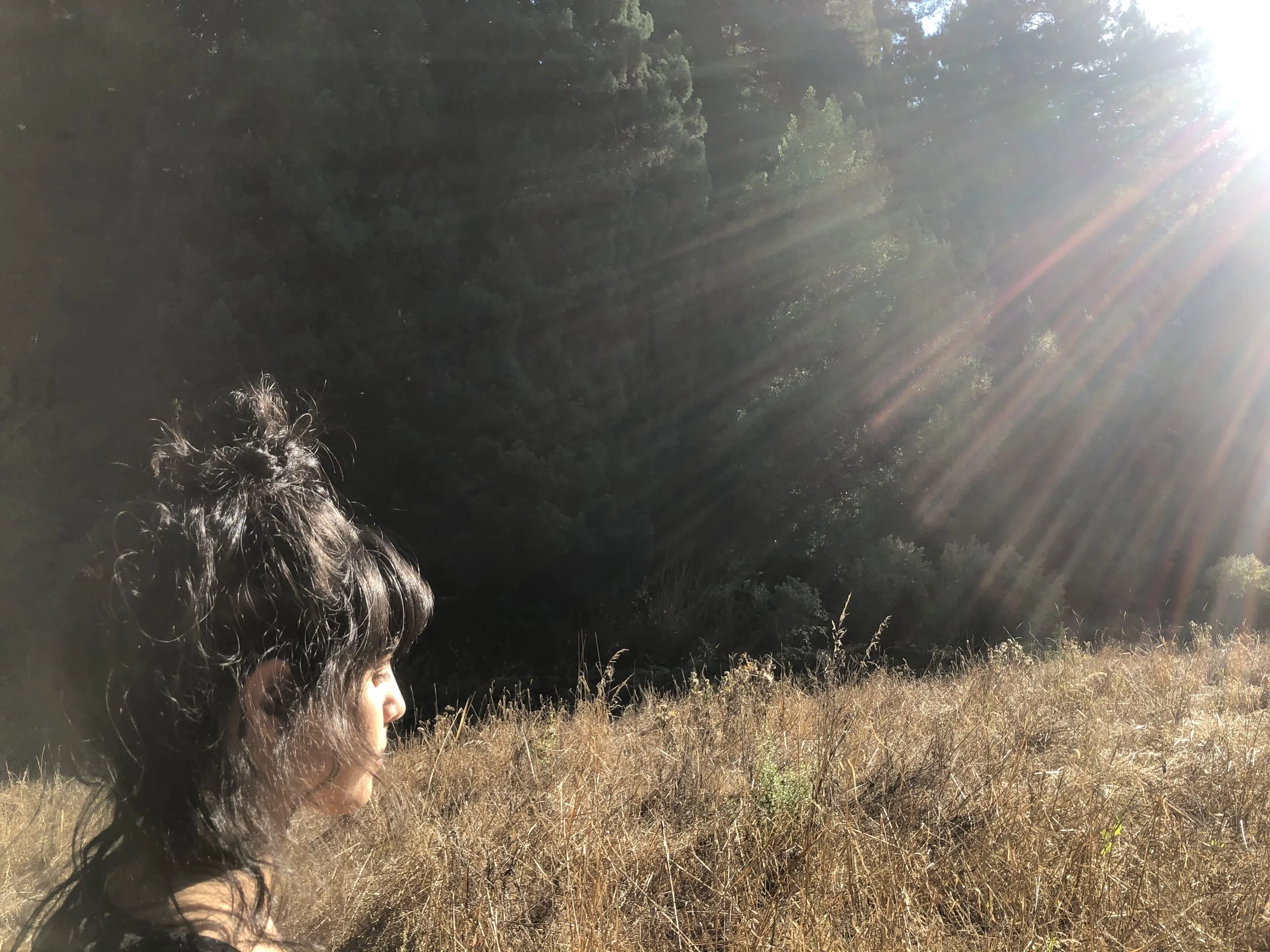 General 1 — Nadia Shihab نادية شهاب