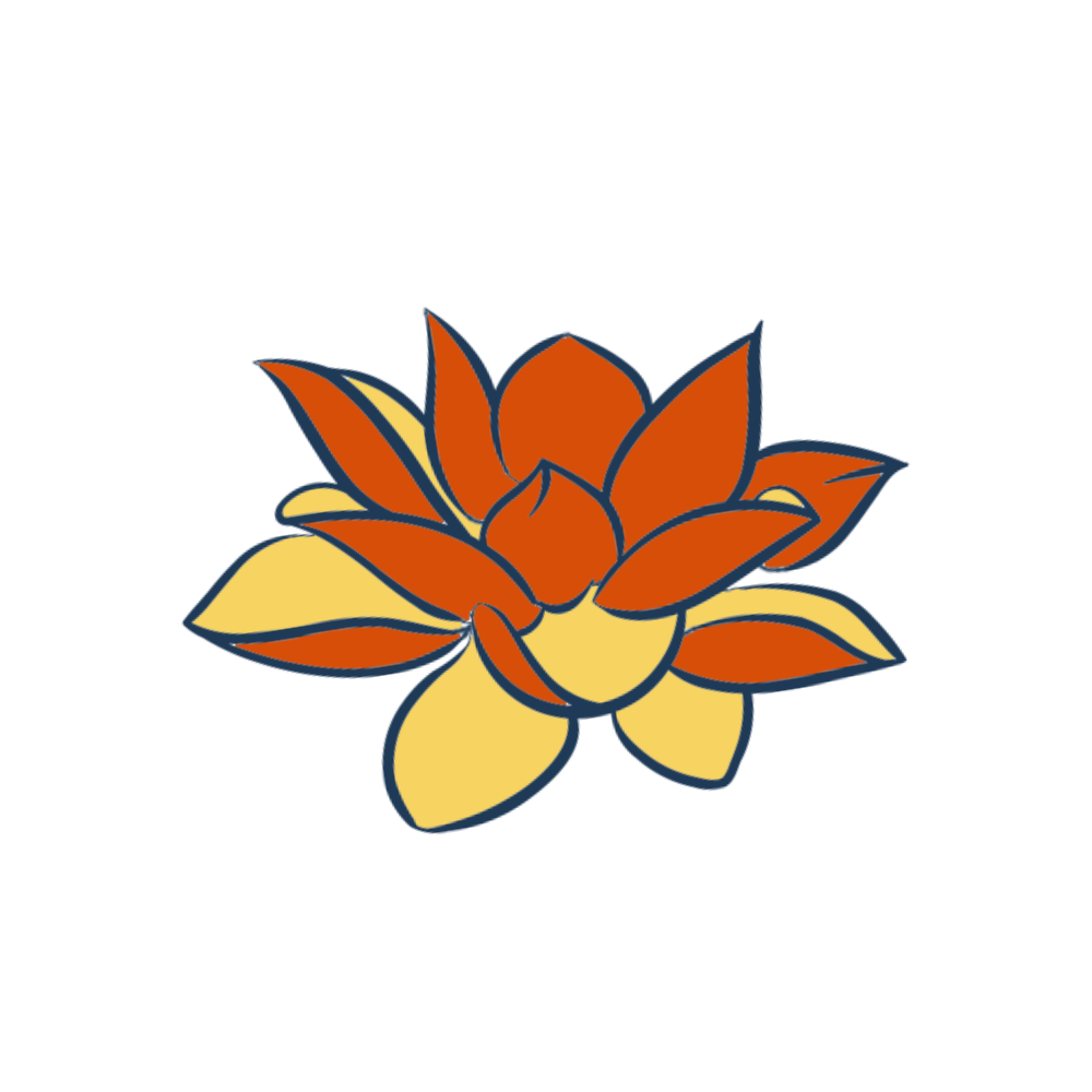 Contact with Wasaga's flower shop — Veronica's Flowers by the Bay