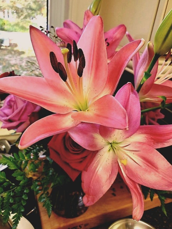 Our Story as Wasaga's Orignal Flower Shop — Veronica's Flowers by the Bay
