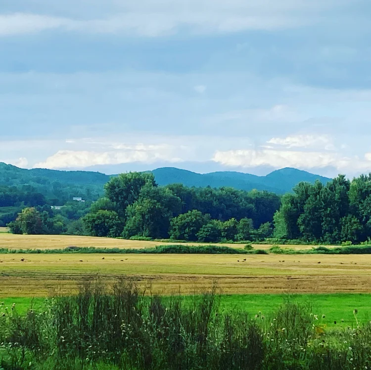 Rusty's Pizza and Pie