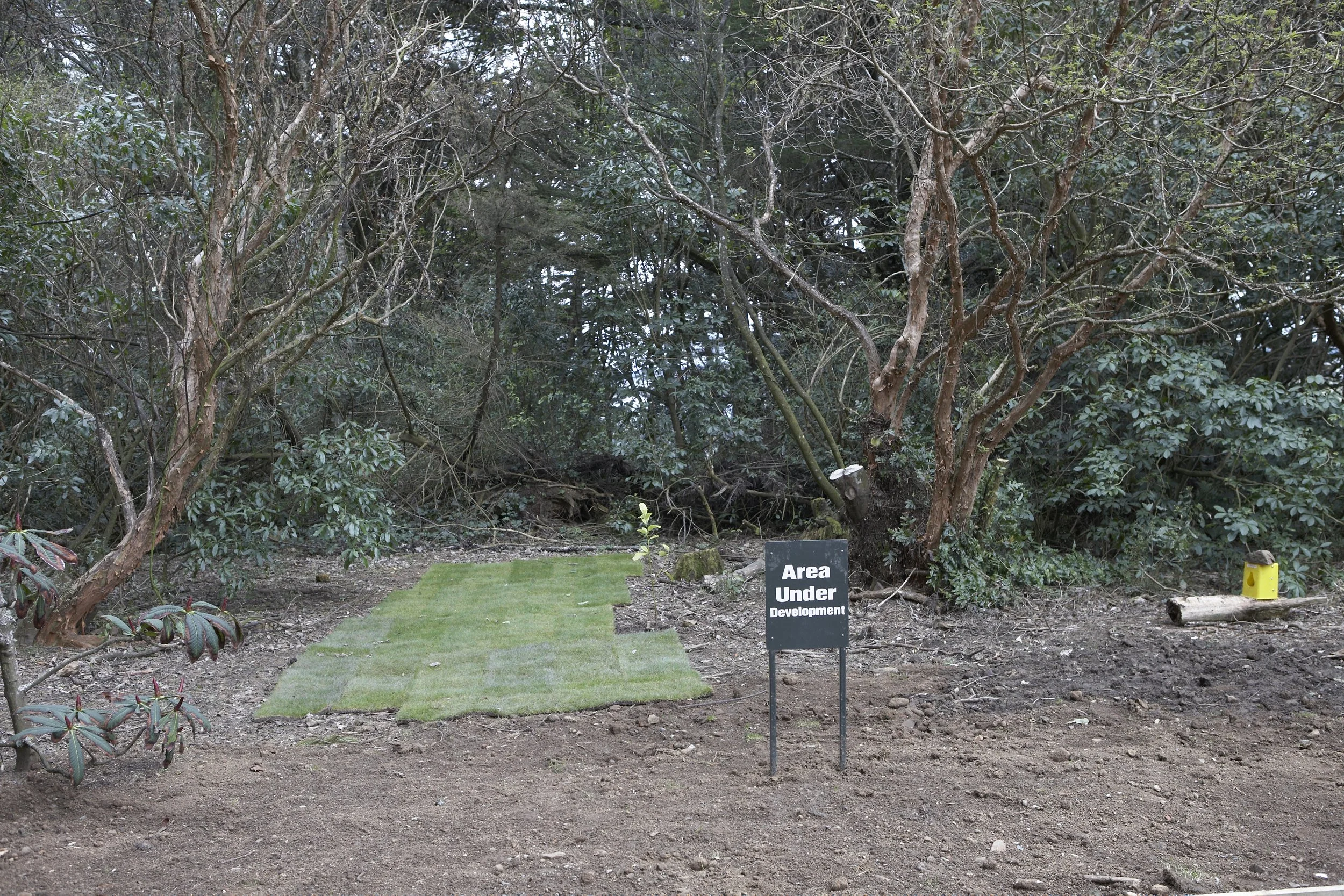 Dallas Pickering Photographer