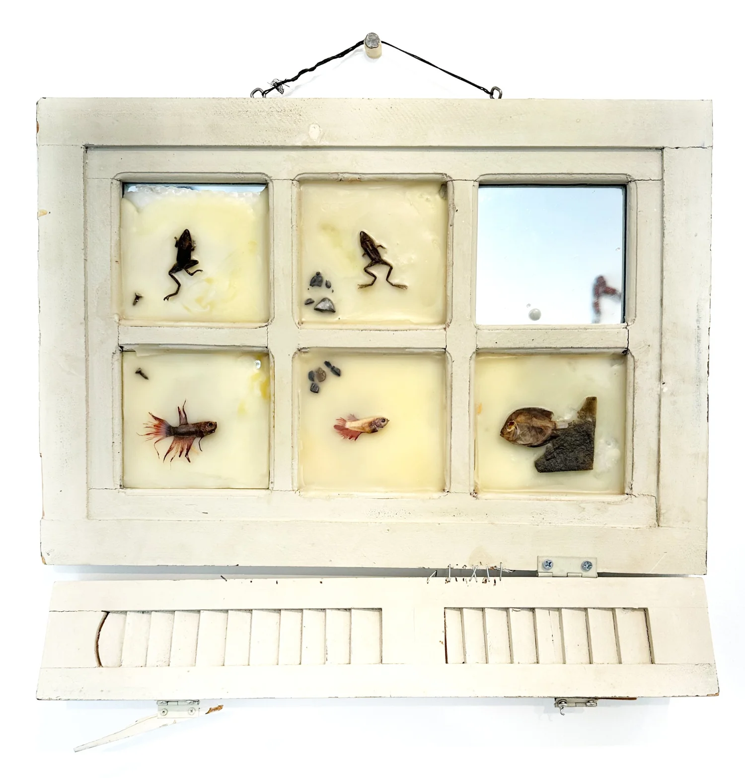 A Tender Limb. Ibuki Kuramochi, Marley White, Allison Arkush. 1/27-2/24.