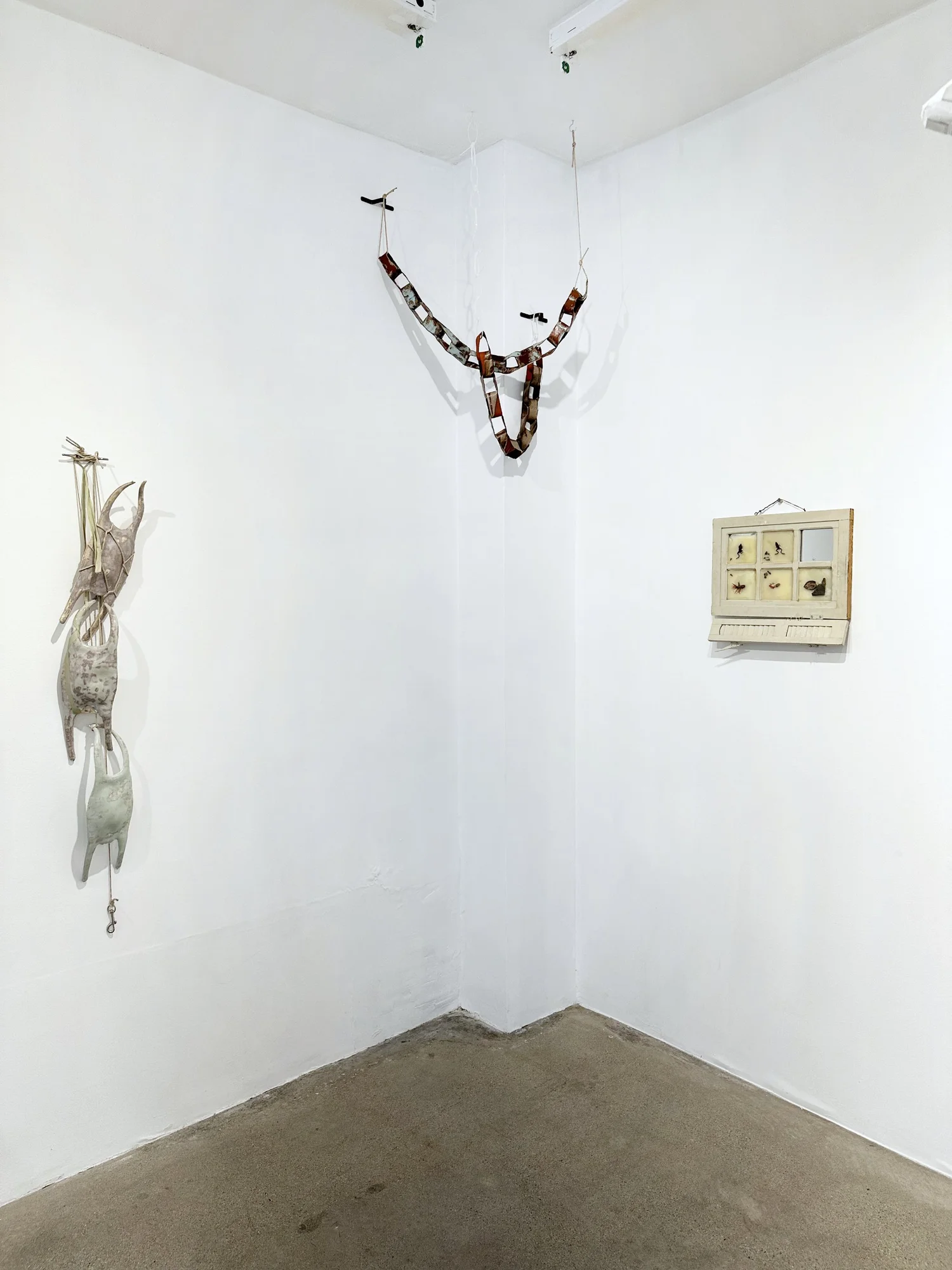 A Tender Limb. Ibuki Kuramochi, Marley White, Allison Arkush. 1/27-2/24.