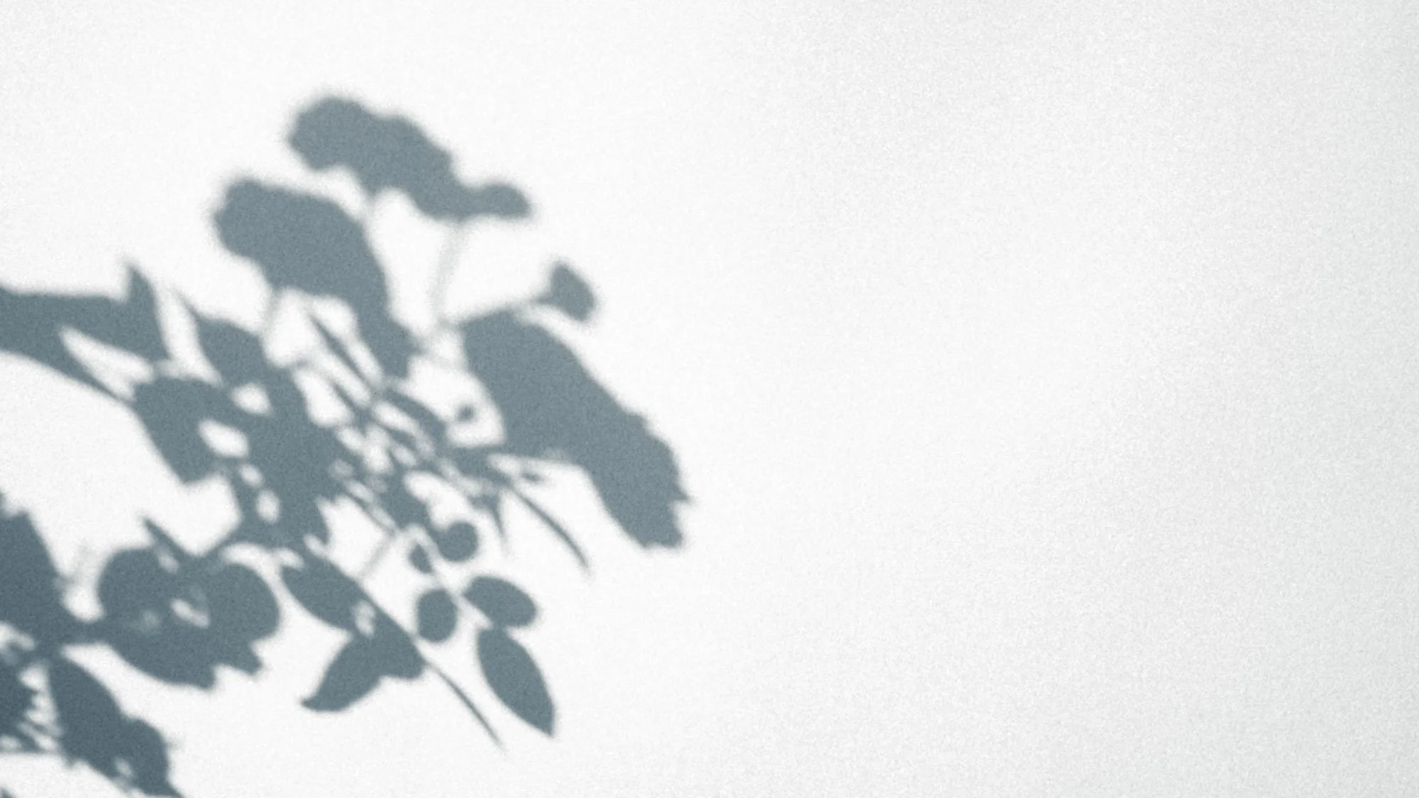 About Andree Morgan | Certified ADHD Life Coach In Melbourne — ADHD ...