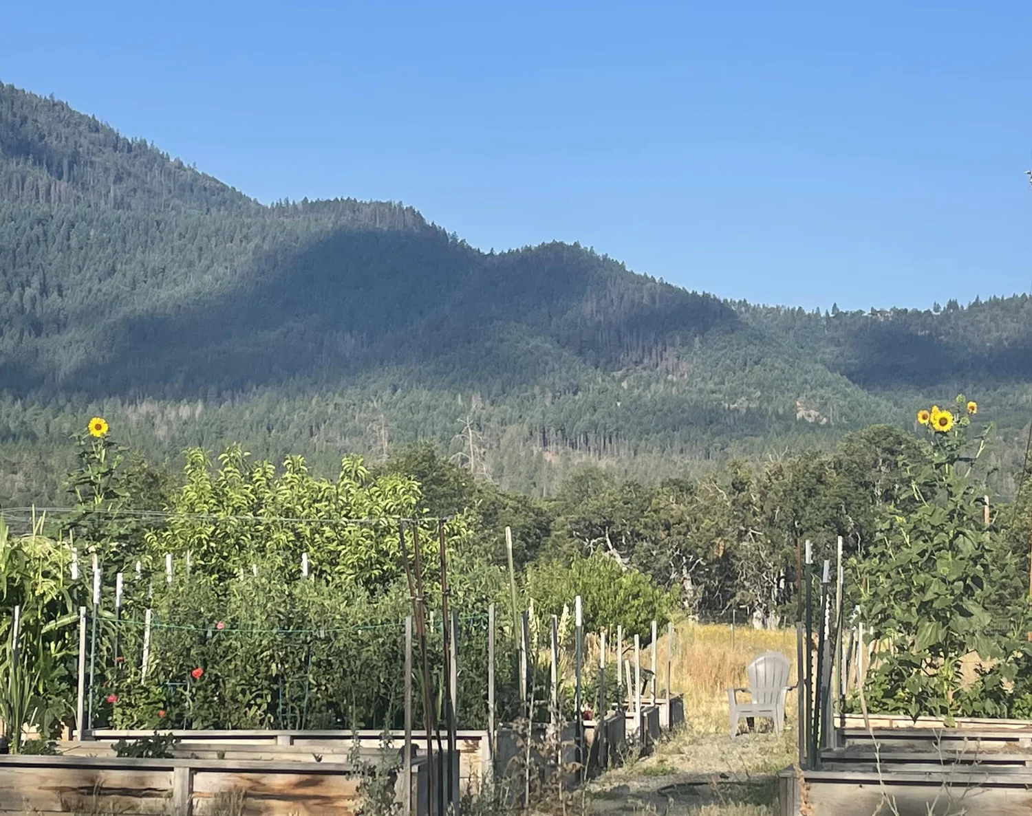 Black Barn Farm