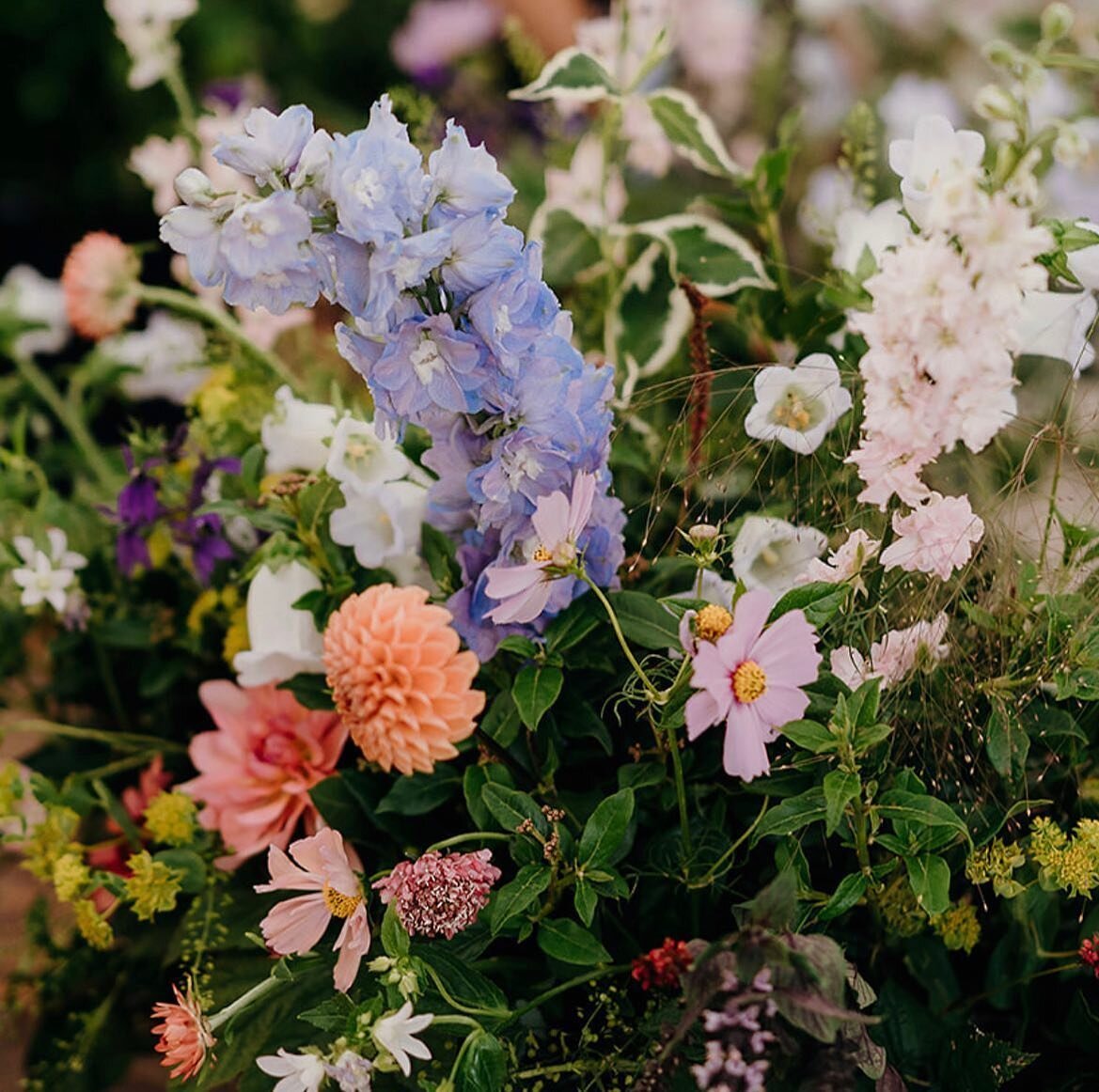 Jessica Eliza Wedding Flowers