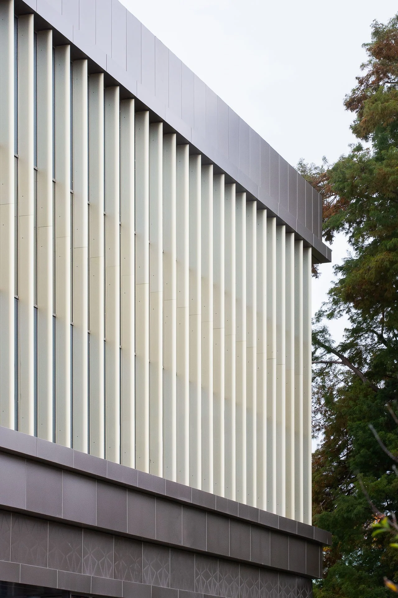 University of Reading Library — TOM BRIGHT