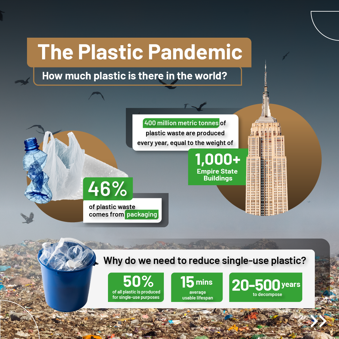 Reduce Global Plastic Pollution with Biodegradable Materials — Solinatra