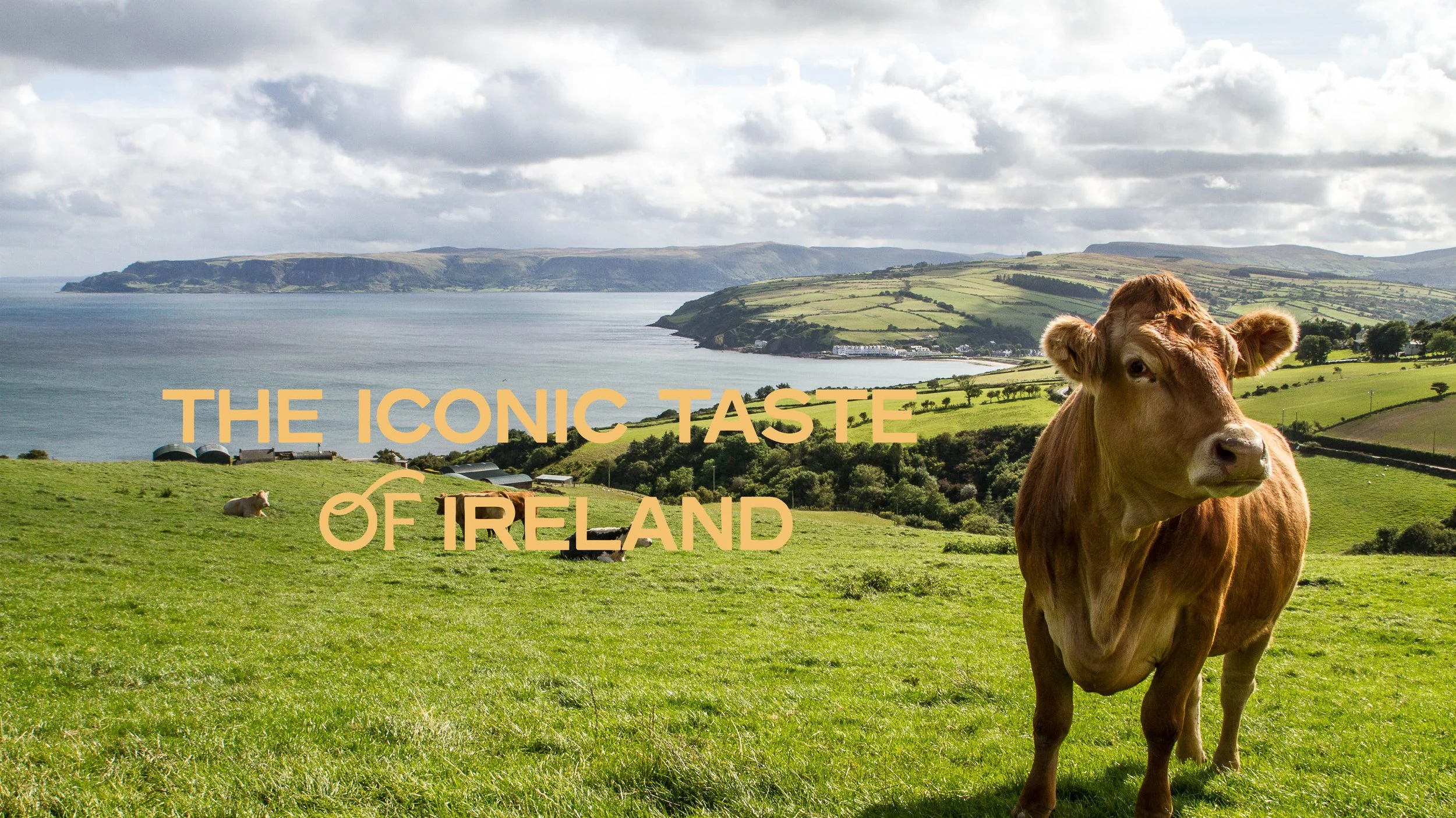 McCall's Grassfed Irish Cheddar