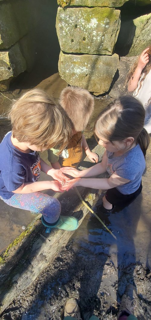 Squirrel Scout Outdoor School