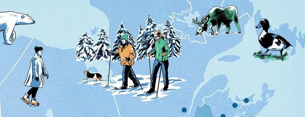 re:porter Flight Map for Porter Airlines — Joel Kimmel Illustration