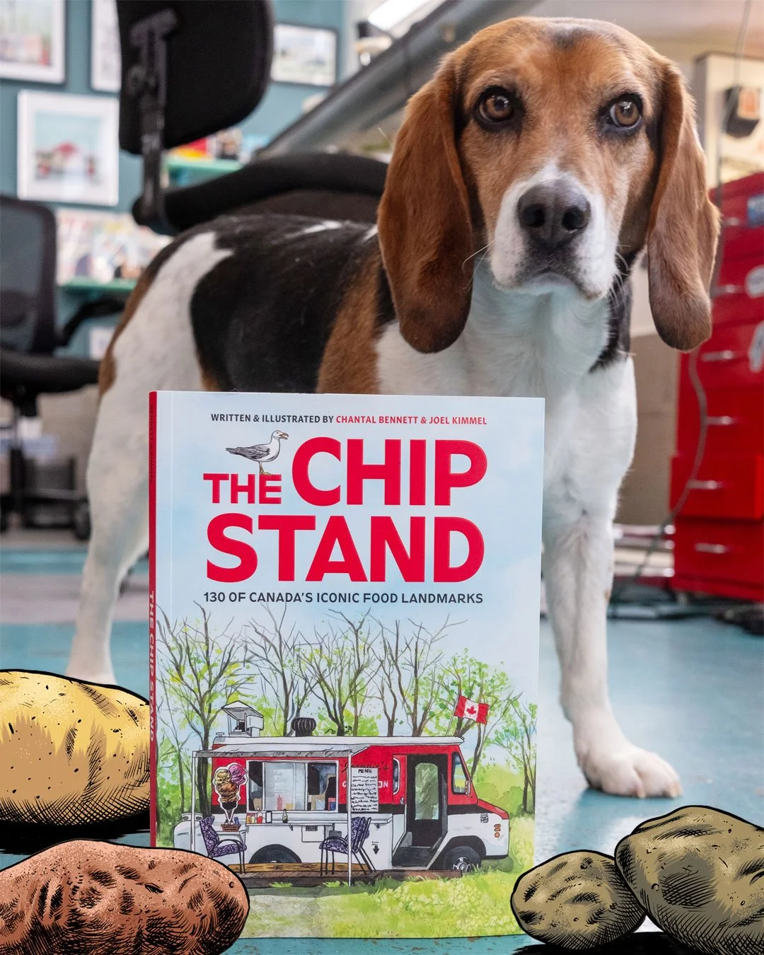 The Chip Stand Book is in stores now! — Joel Kimmel Illustration