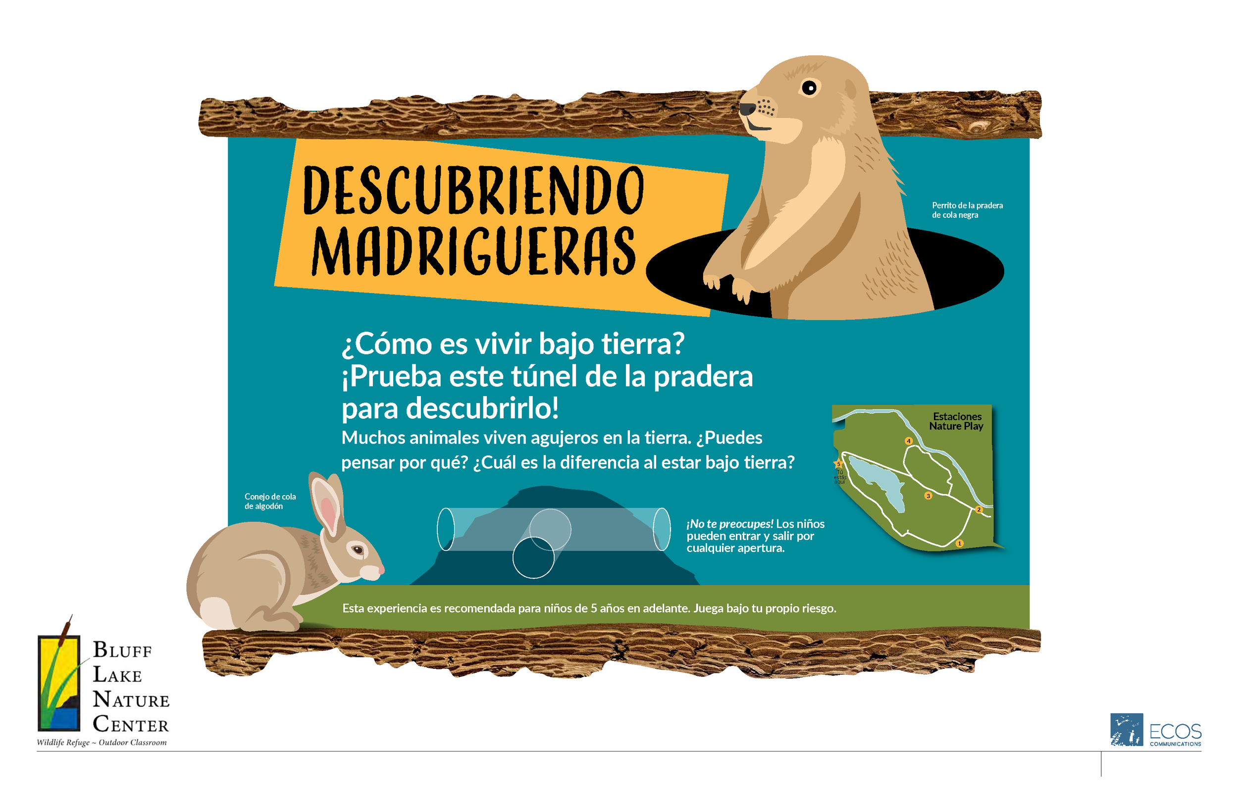 Nature Play Stations — Bluff Lake Nature Center