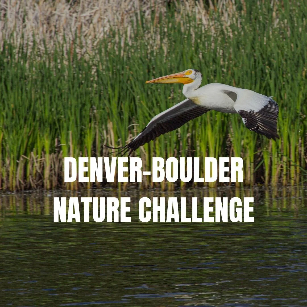 Bluff Lake Nature Center