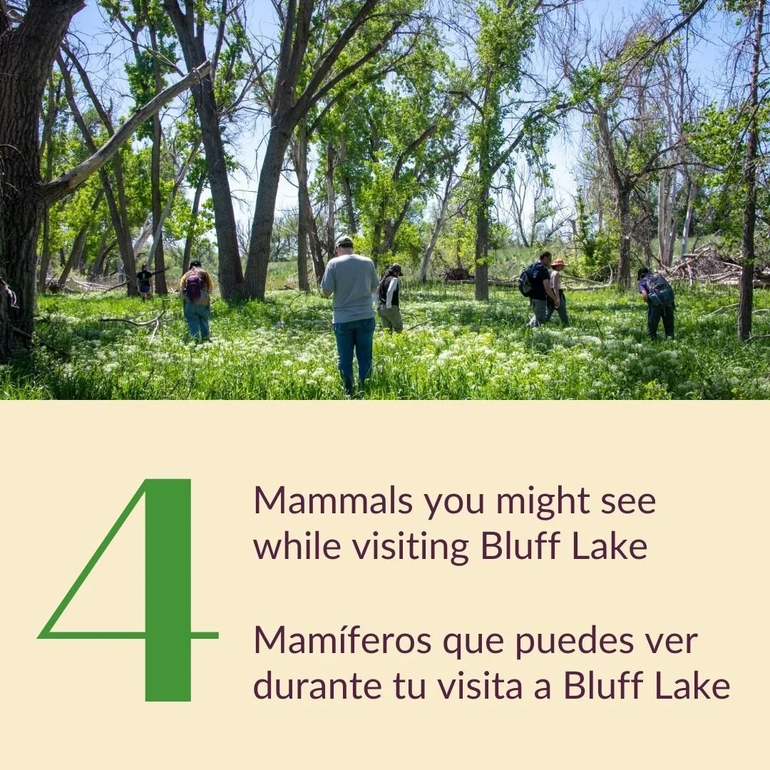 Bluff Lake Nature Center