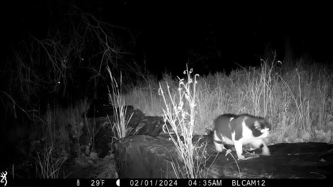 Bluff Lake Nature Center