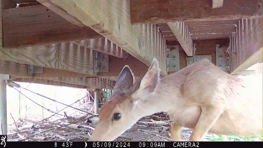 Bluff Lake Nature Center