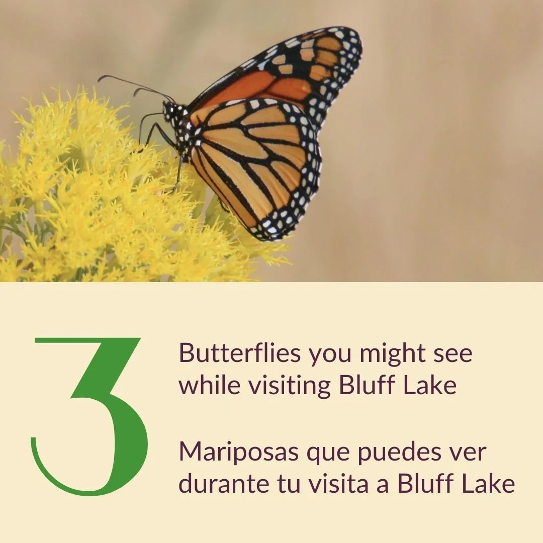 Bluff Lake Nature Center