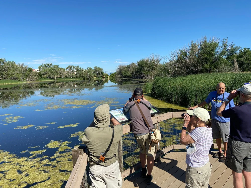 Birdwatching — Bluff Lake Nature Center