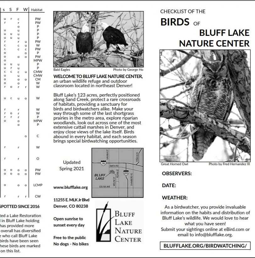 Birdwatching — Bluff Lake Nature Center