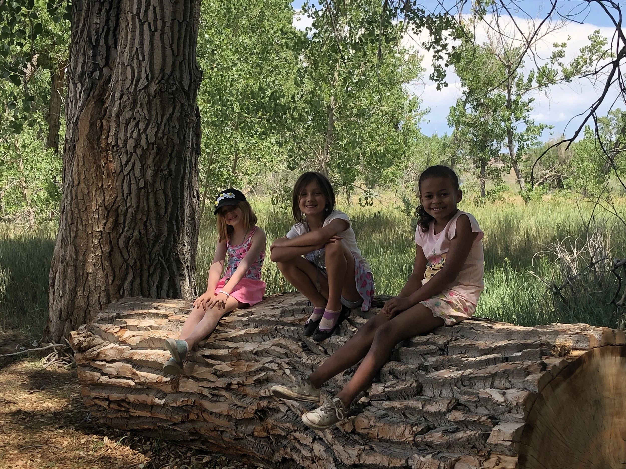 Scholarships — Bluff Lake Nature Center