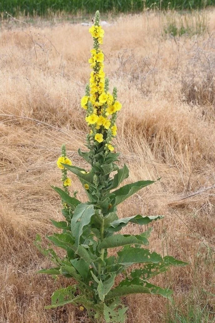 About 1 — Bluff Lake Nature Center