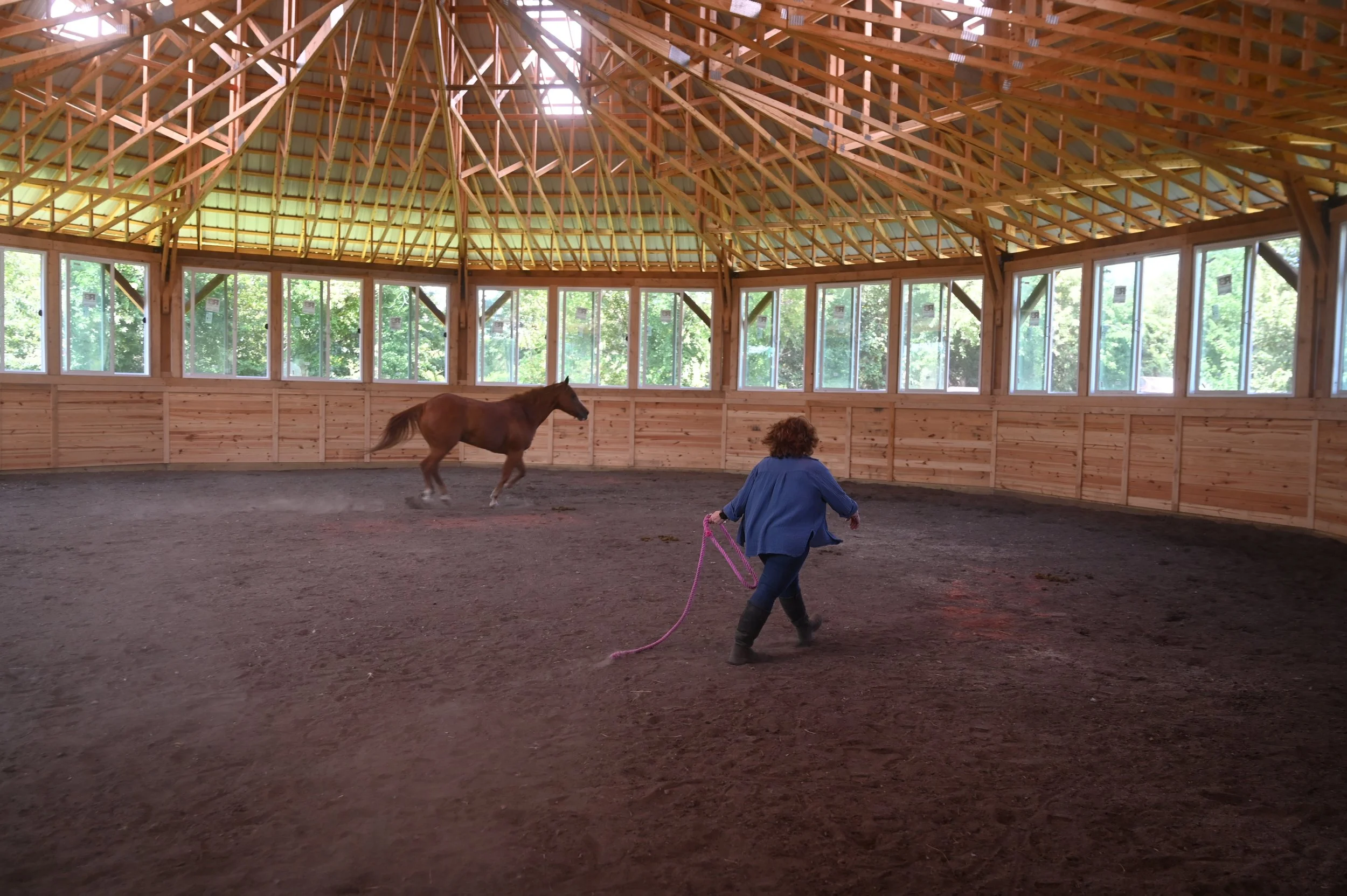 EQUUS Coaching — Spirit's Promise