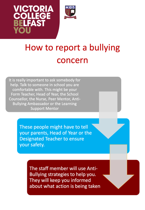 Bullying — Victoria College Belfast