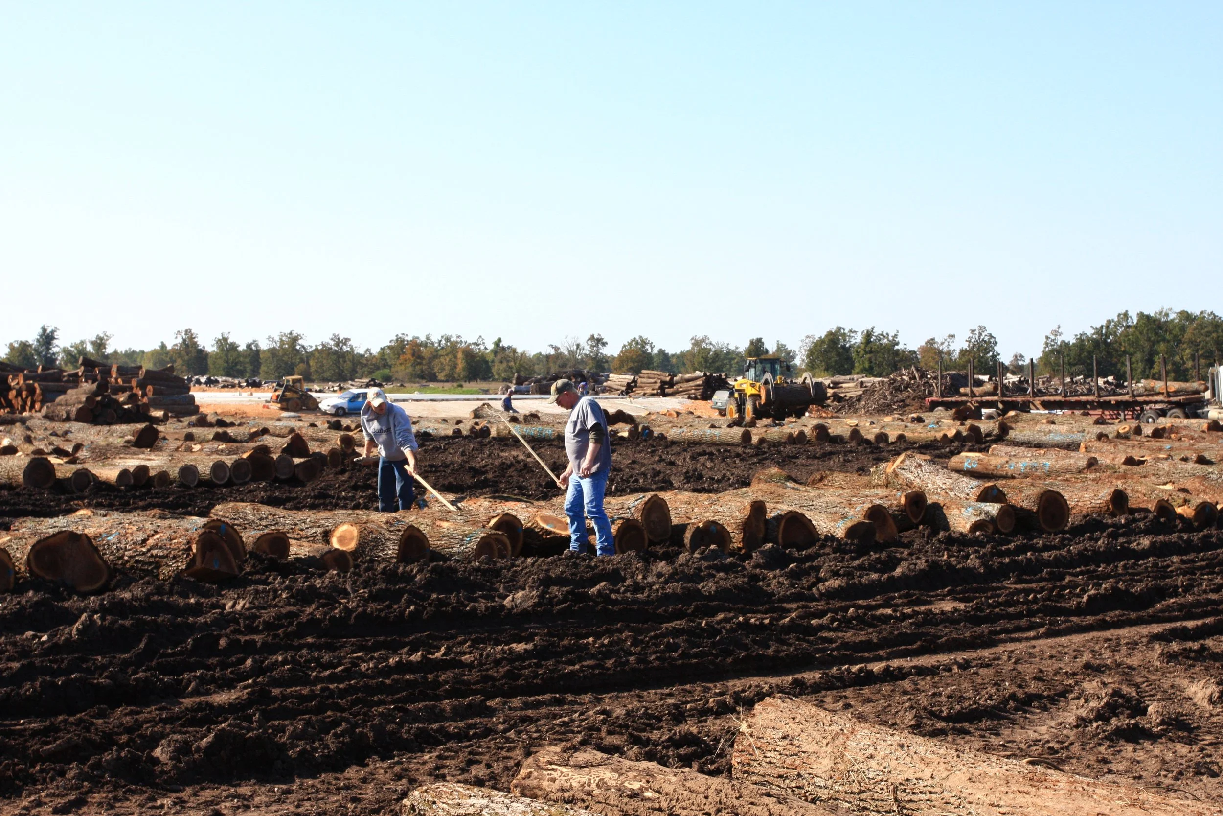 Missouri Walnut — Missouri Walnut Group