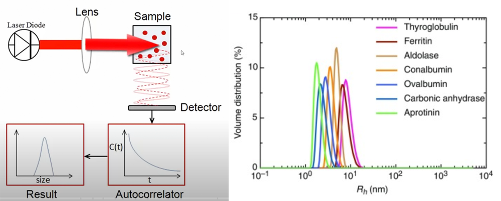 DYNAMIC LIGHT SCATTERING — MIT BIF