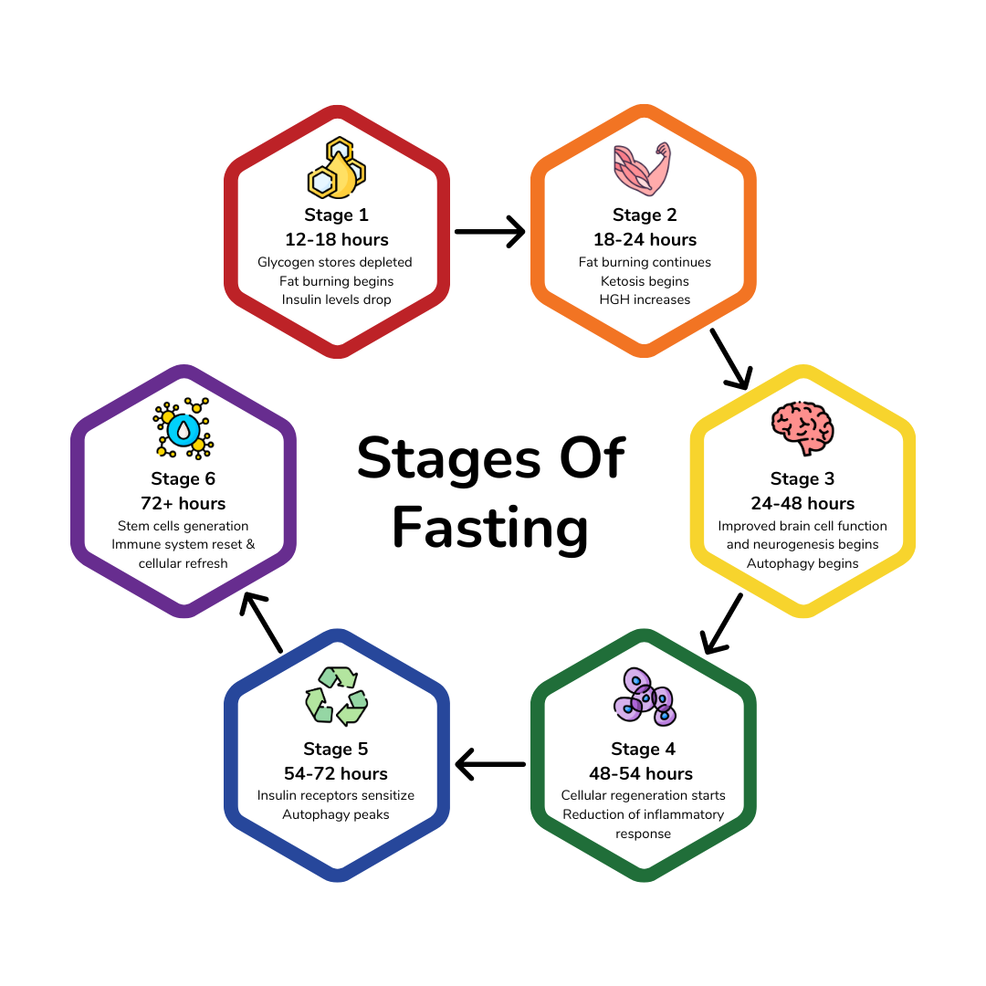 Benefits Of Fasting — Matrix Wellness