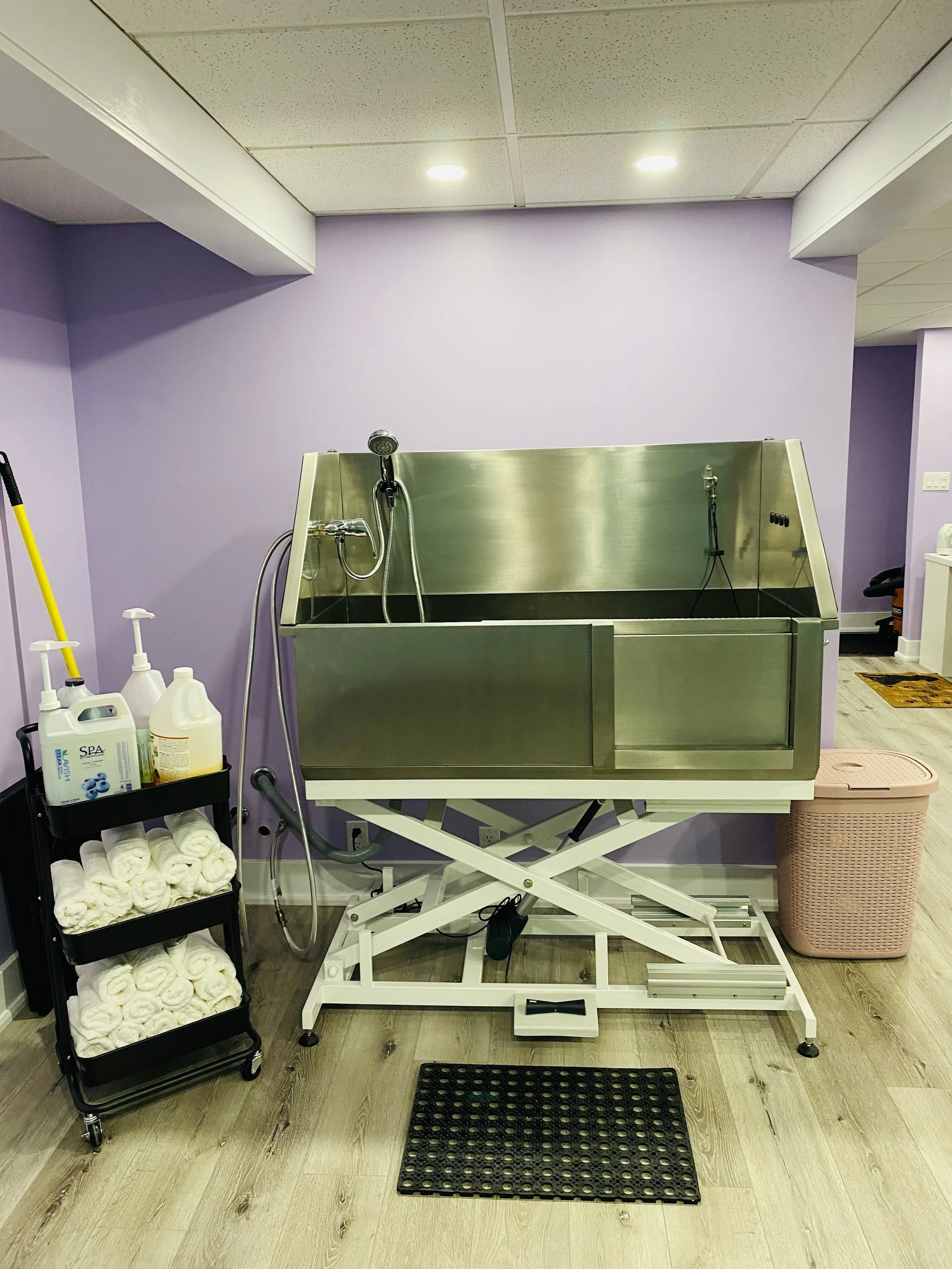 Services — Serenity Dog Spa