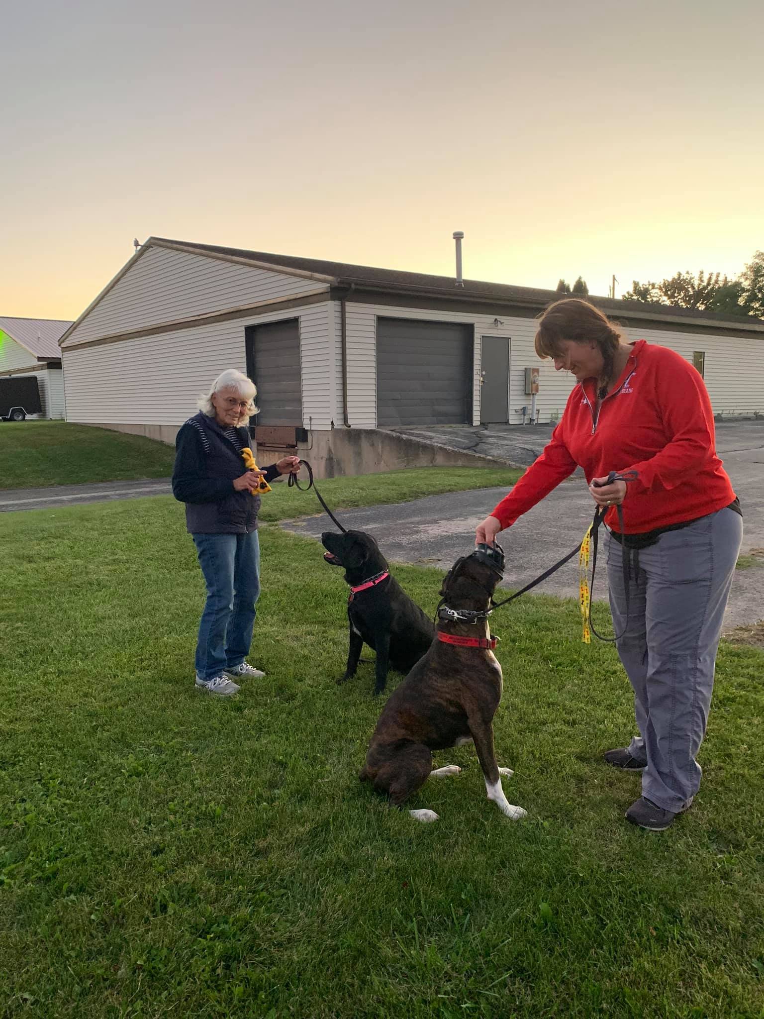 Services — Miller Heights K9 Academy