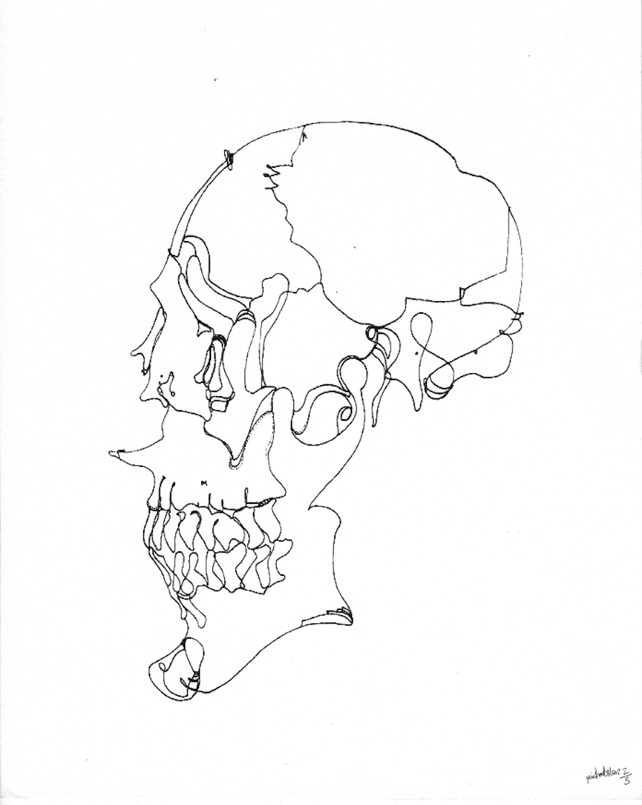 Human Skull Line Drawing