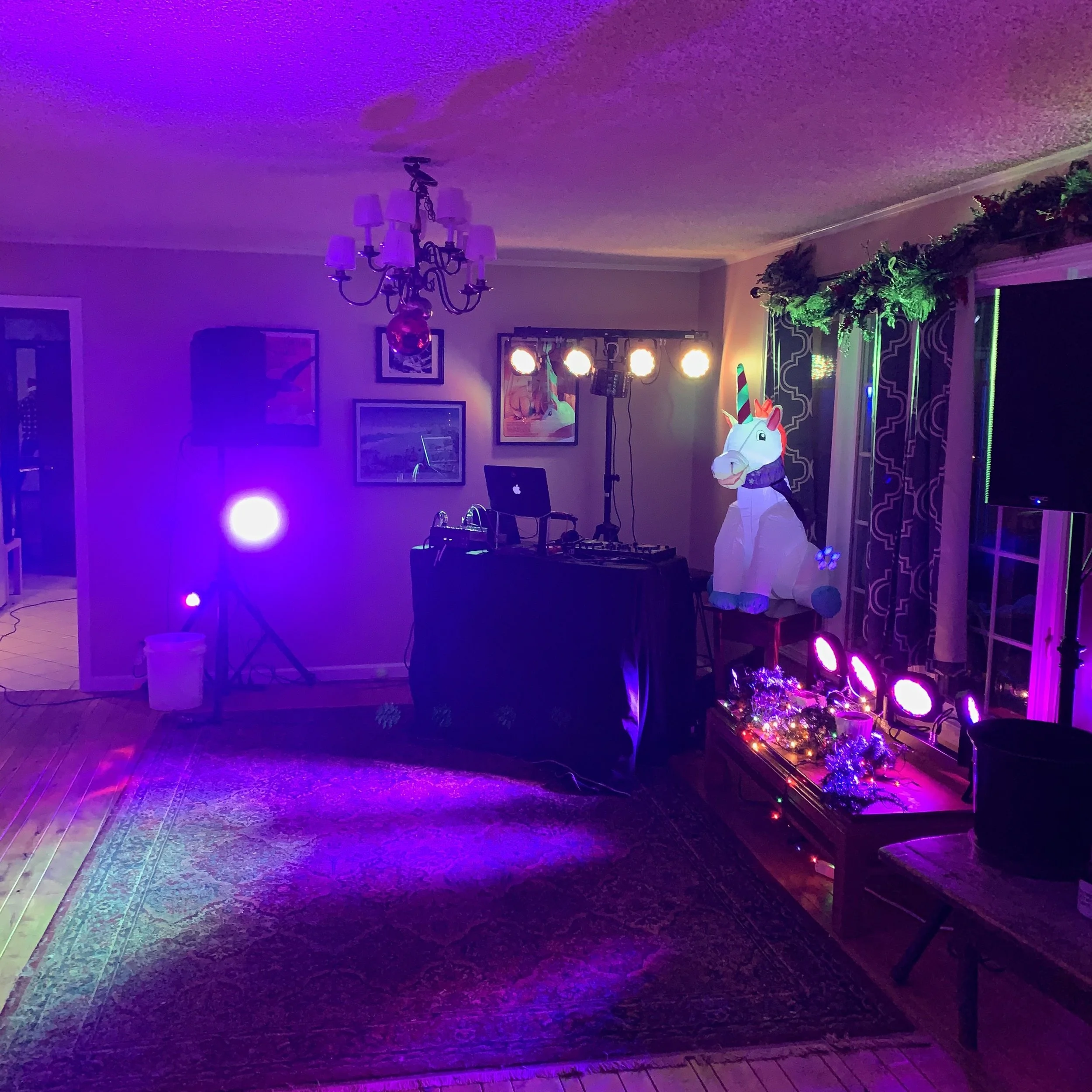 Services — DJ Molly Parti