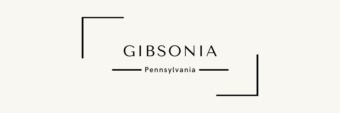 GIBSONIA, PA — FIRST LINK