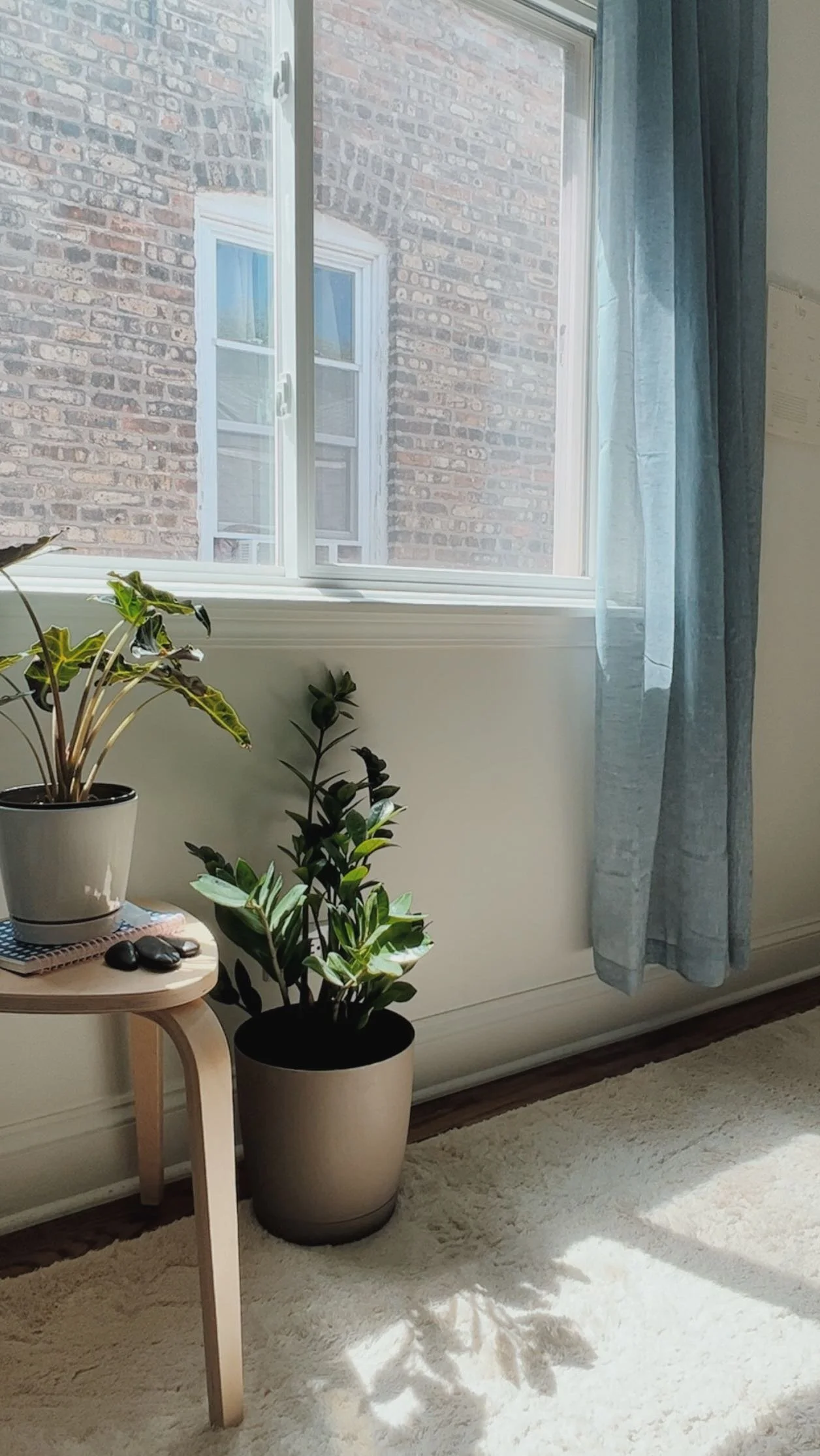 How to Design Sustainable Plastic-Free Packaging — Sereth Design