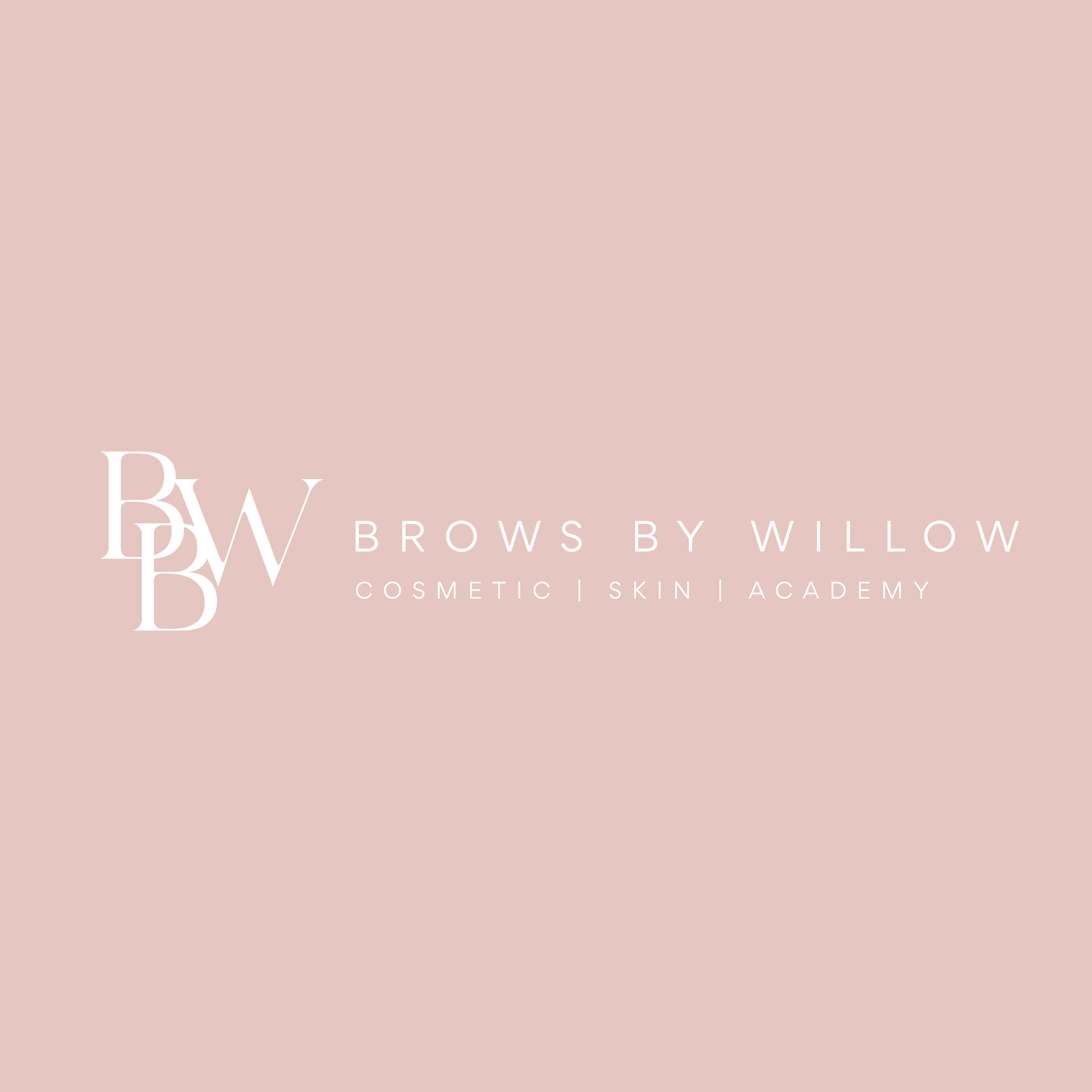 brows by willow
