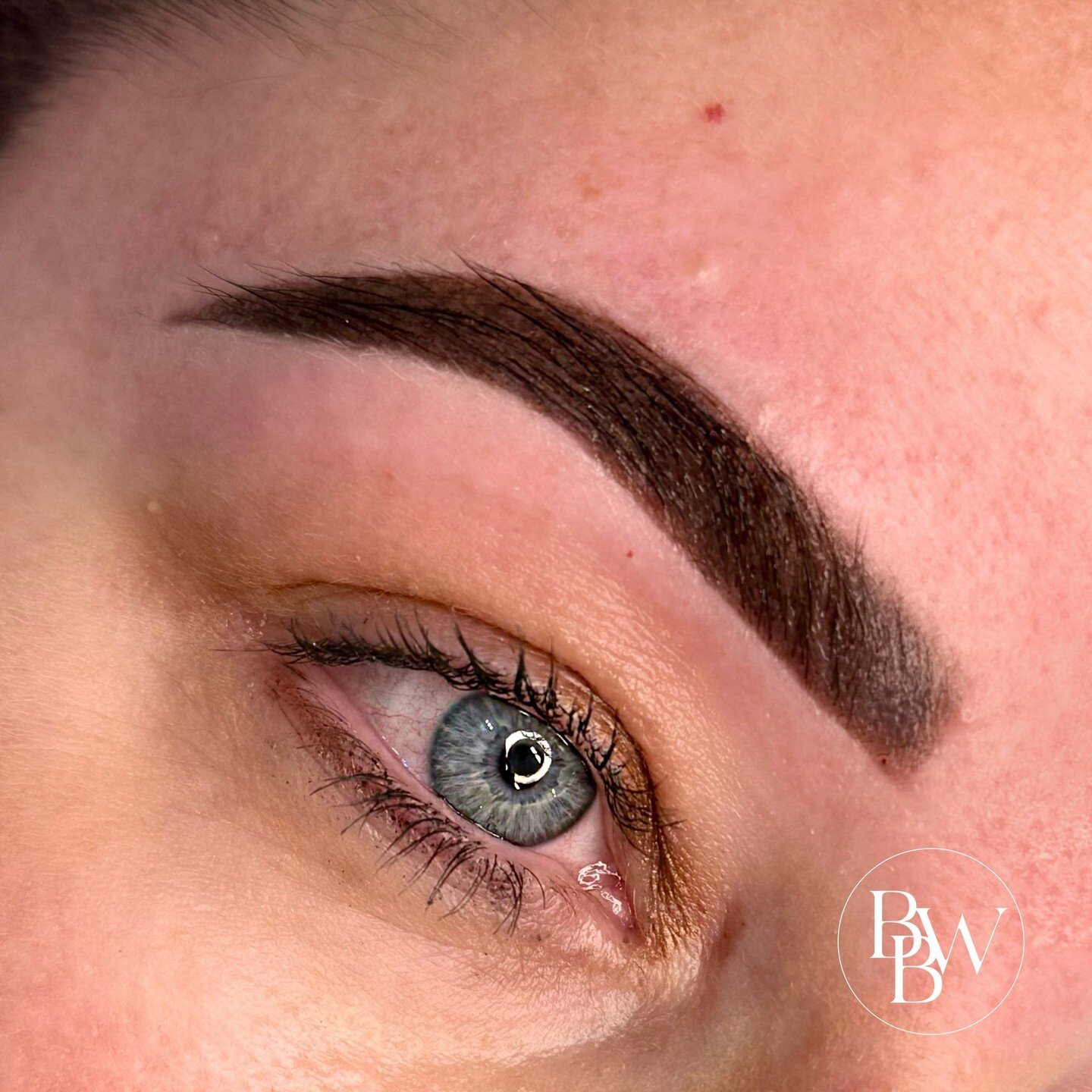Brows By Willow