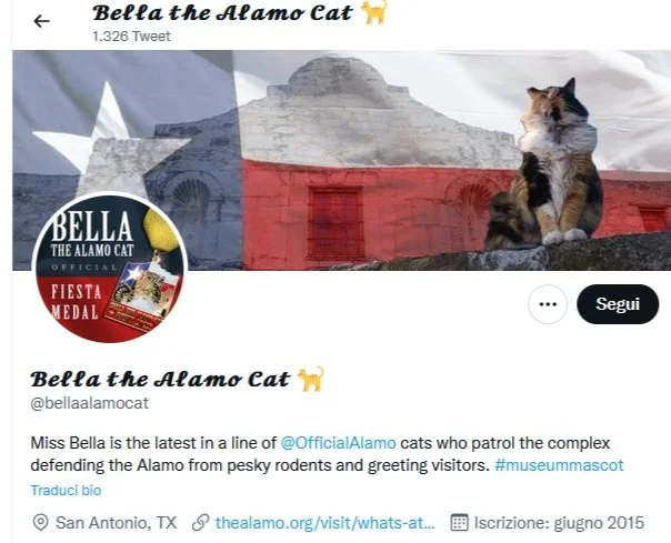 Museum Social Media Ideas: 11 Tactics to Attract Your Ideal Audience ...