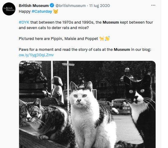 Museum Social Media Ideas: 11 Tactics to Attract Your Ideal Audience ...