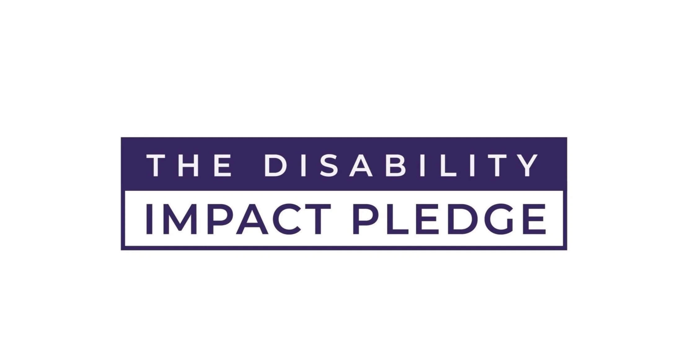 Research Areas — THE DISABILITY POLICY CENTRE