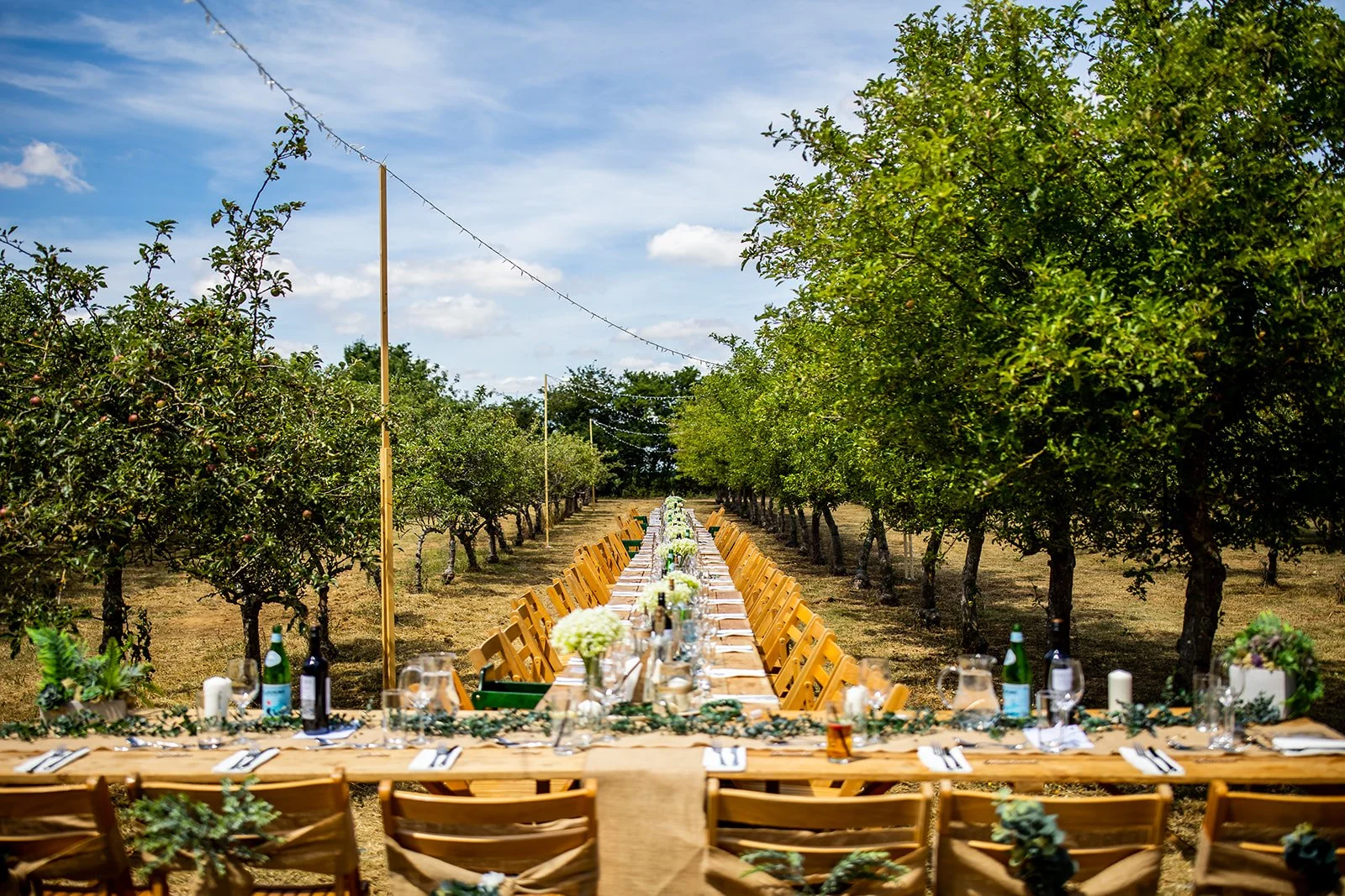 Weddings — Provenance Kitchen